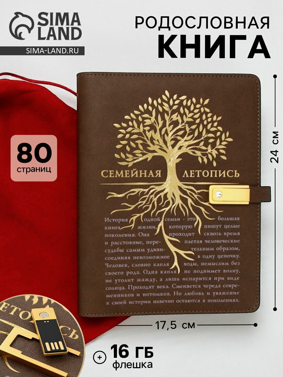 Родословная книга со встроенной флешкой 16 Gb "Семейная летопись", 17.5x23 см