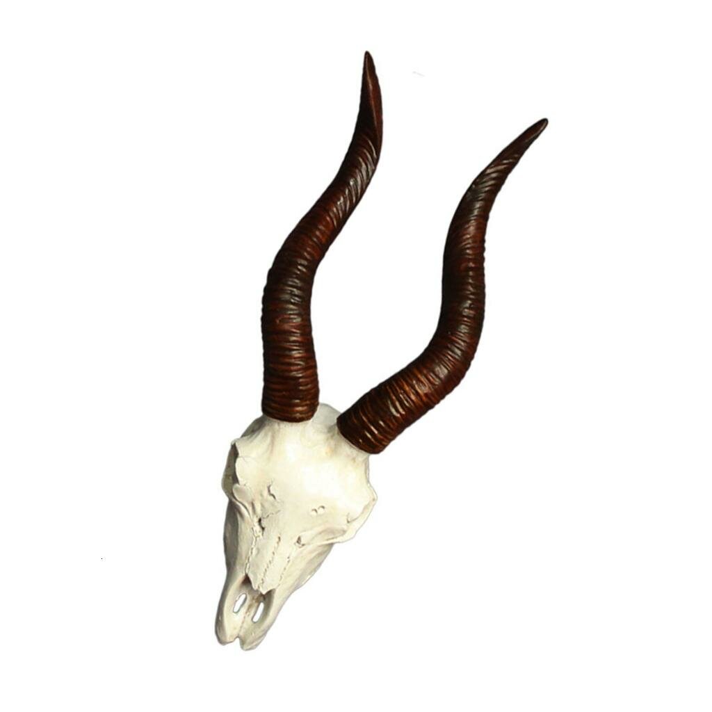 Череп коровы для декора стен, череп овцы