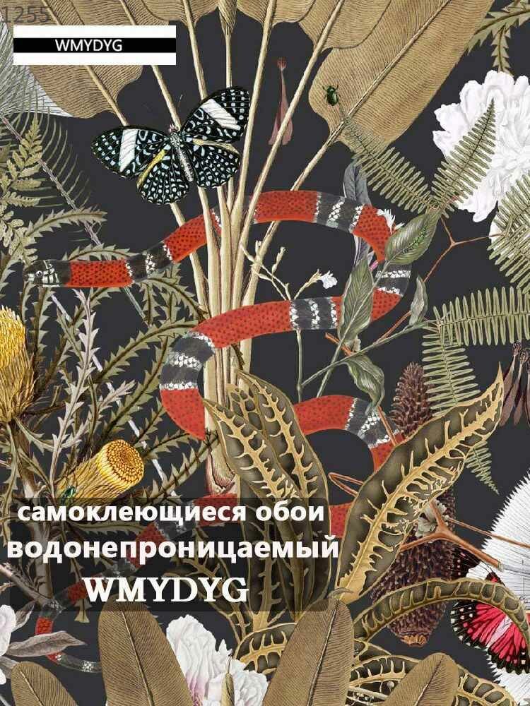 Фото обои на стену Растение-бабочка-змея, используемое в спальне, гостиной11