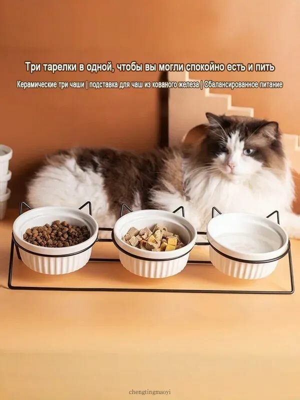 Три керамические миски для кошек