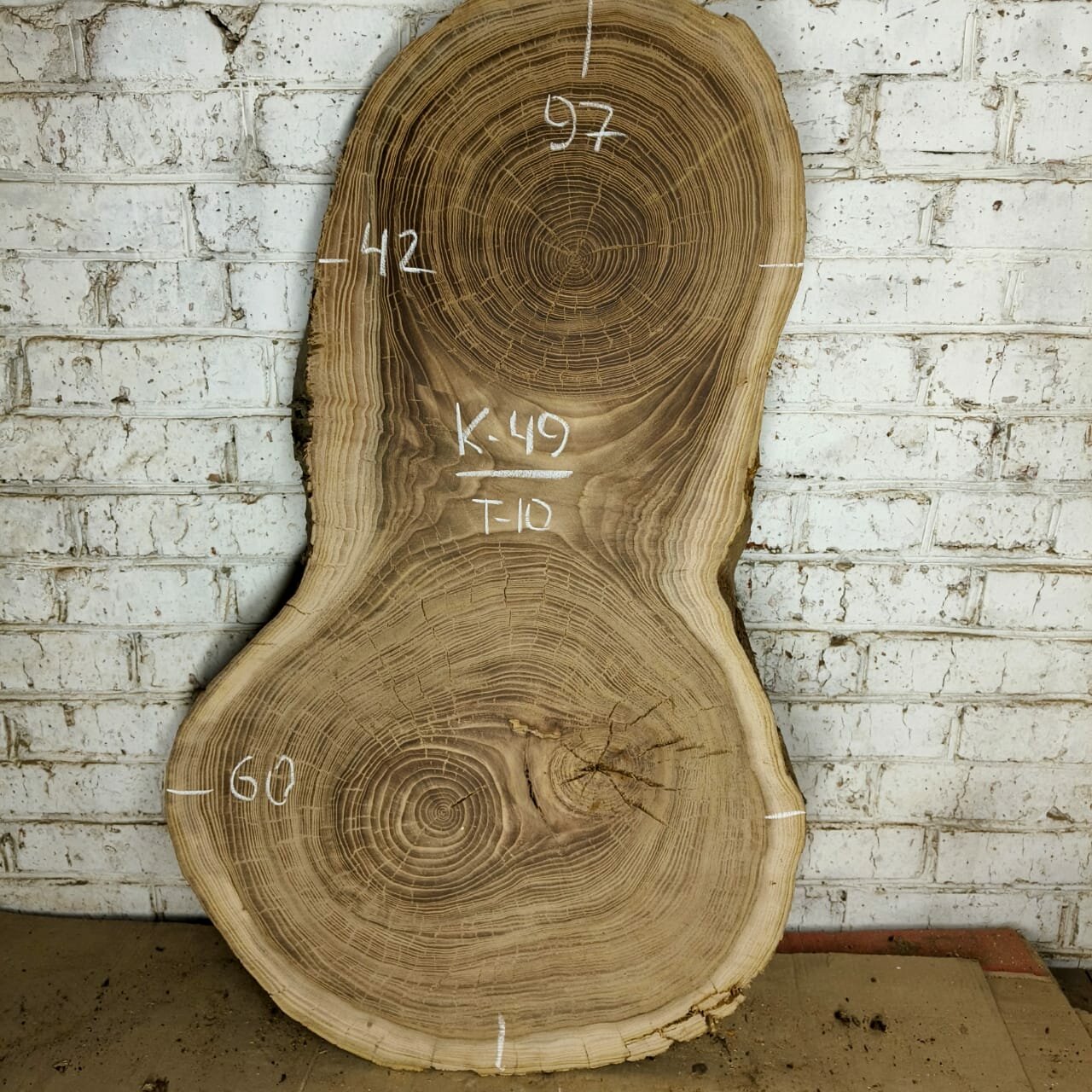 Торцевой спил дерева Карагач К-49, диаметр 60-97 см, выровнен в плоскости