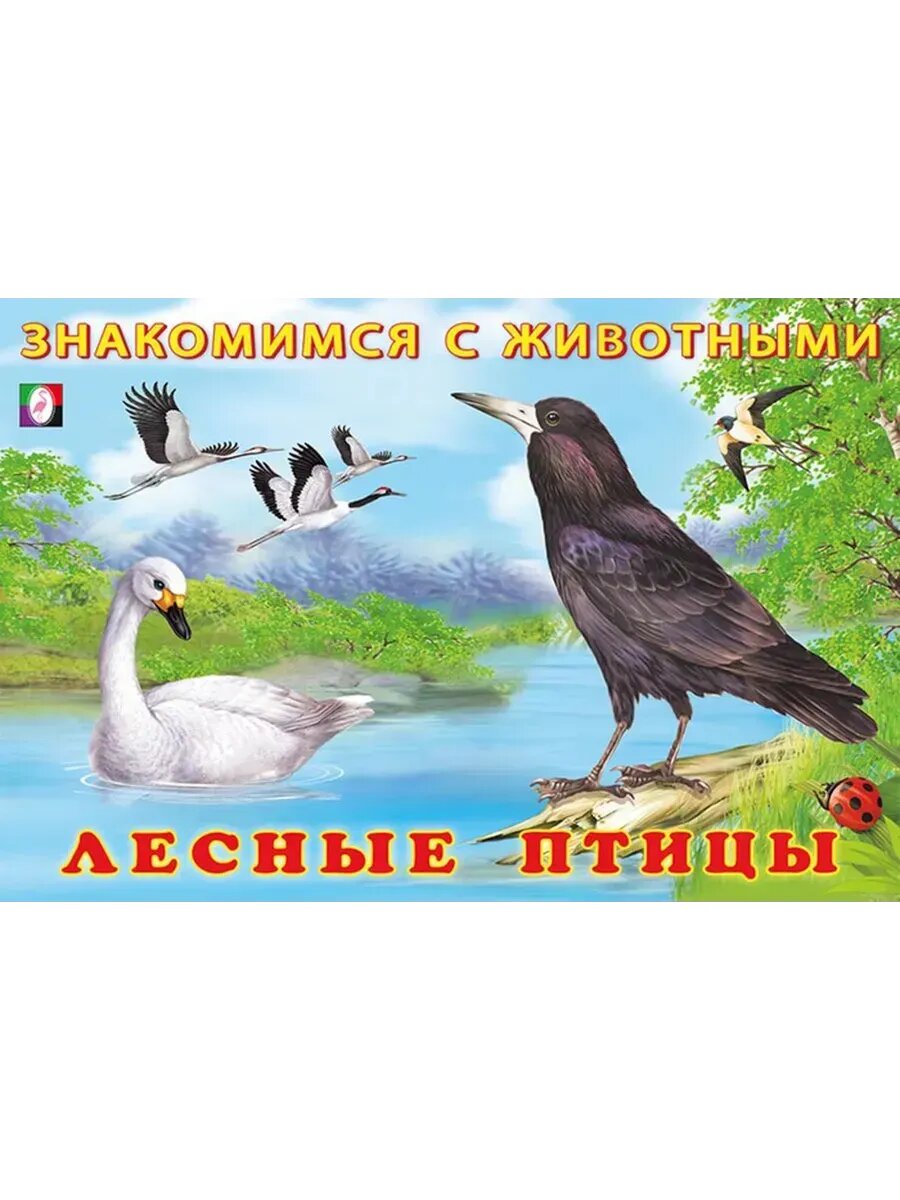 Знакомимся с животными. Лесные птицы