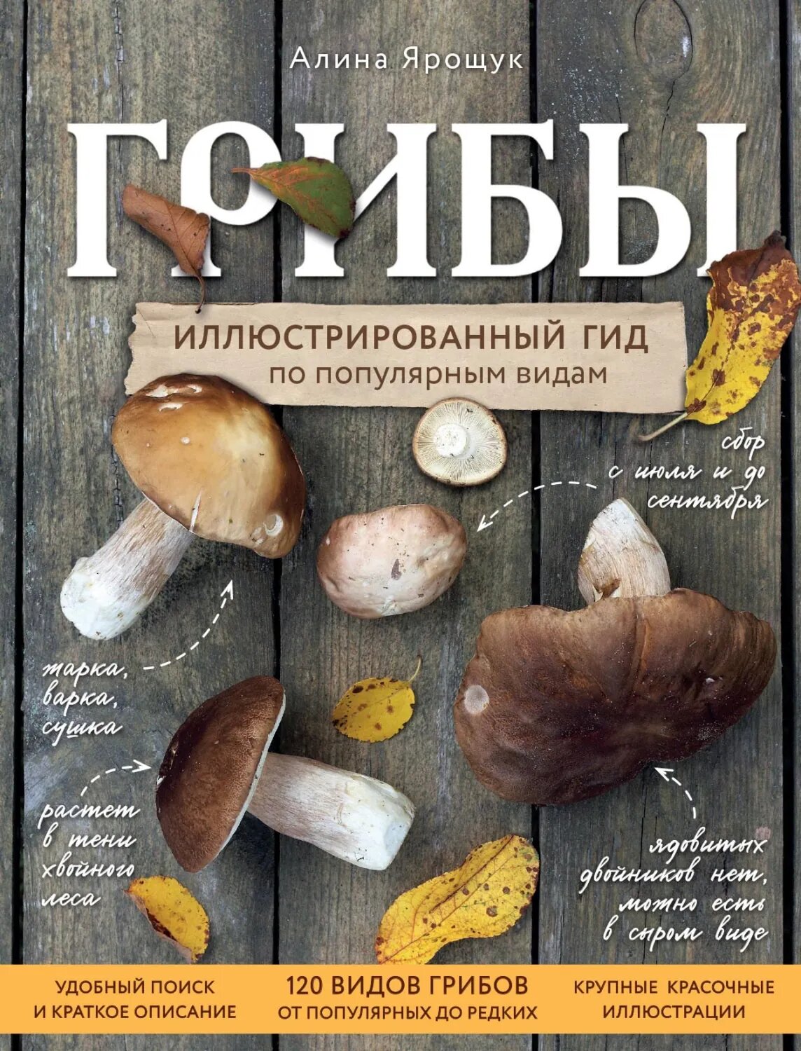 Грибы: иллюстрированный гид по популярным видам [Цифровая книга]