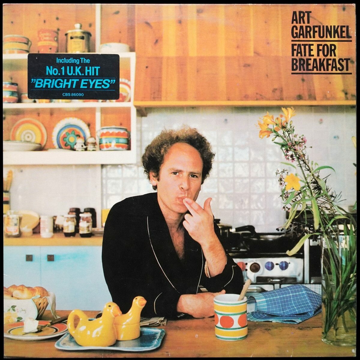 Виниловая пластинка CBS Art Garfunkel – Fate For Breakfast
