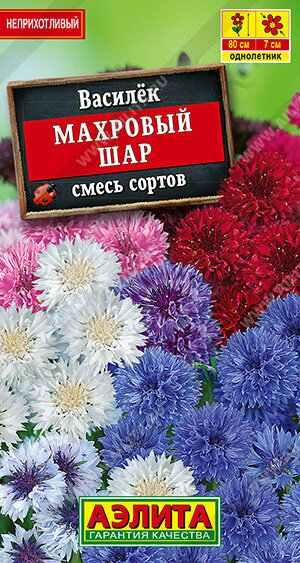 Семена аэлита "Василек Махровый Шар", смесь сортов, для цветников и на срез, засухоустойчивость