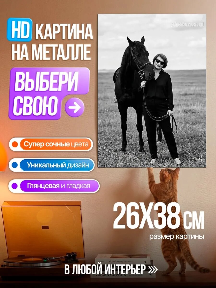 Картина на HD металле Девушка с черной лошадью