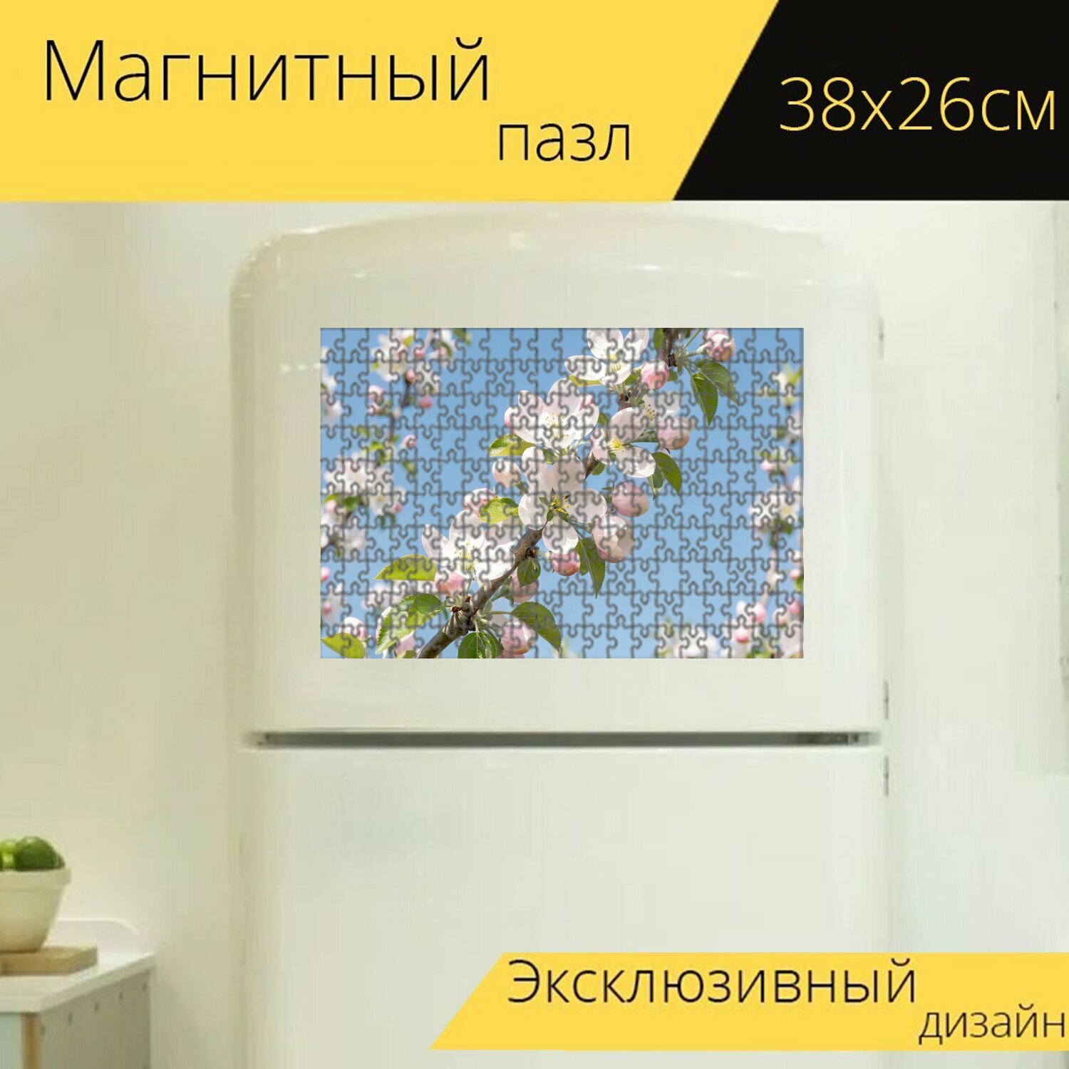 Магнитный пазл "Цветущая ветка яблони весной. Нежные бело-розовые лепестки и бутоны на древесном побеге с зелеными листьями на фоне ясного голубого неба." для интерьера, 38х26 см.
