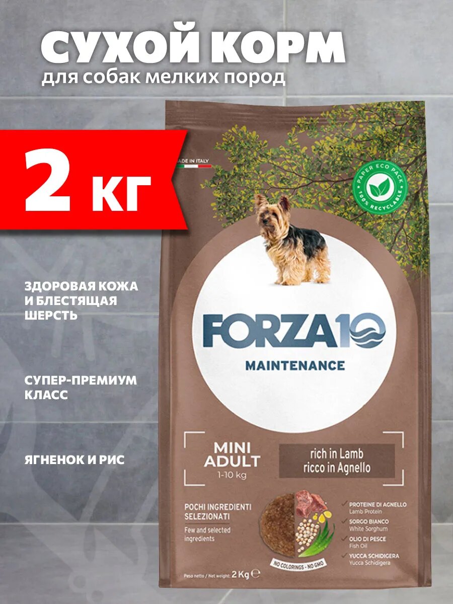 Корм сухой Forza10 Dog Maintenance Adult Mini для взрослых собак маленьких пород с ягненком и рисом, 2 кг