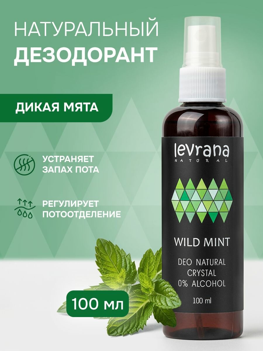 Натуральный дезодорант спрей для тела мужской Дикая мята Levrana, 100 мл