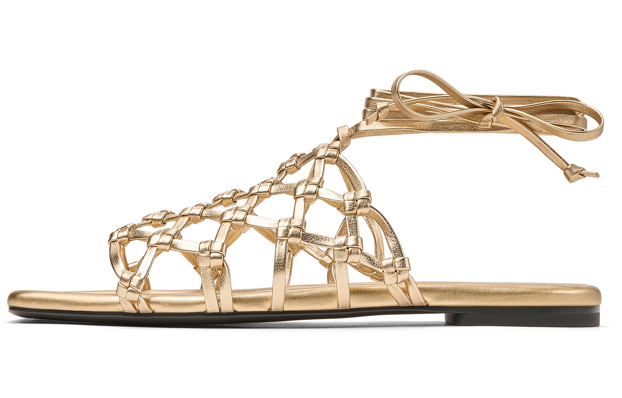 Сланцы