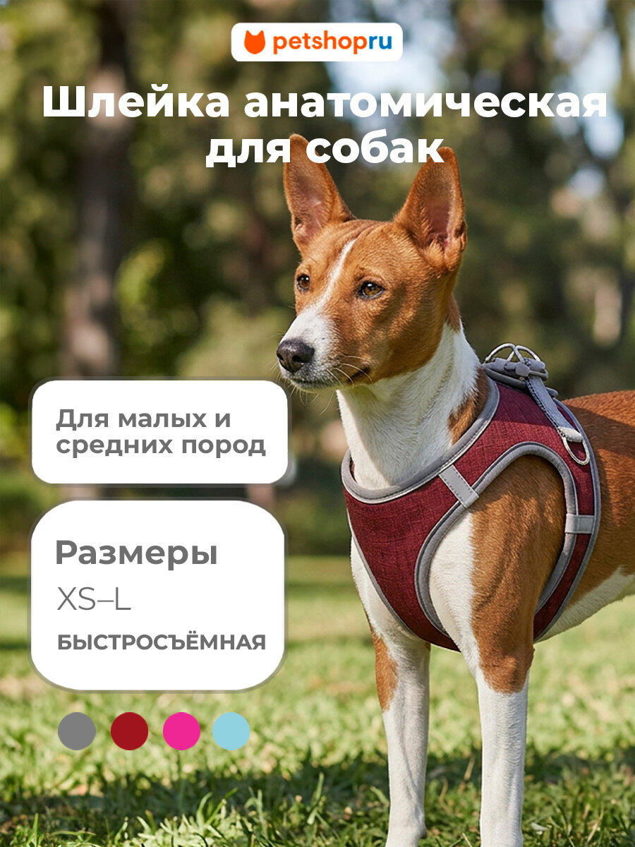 PETSHOP Шлейка анатомическая для собак светоотражающая "Скайлайн", M