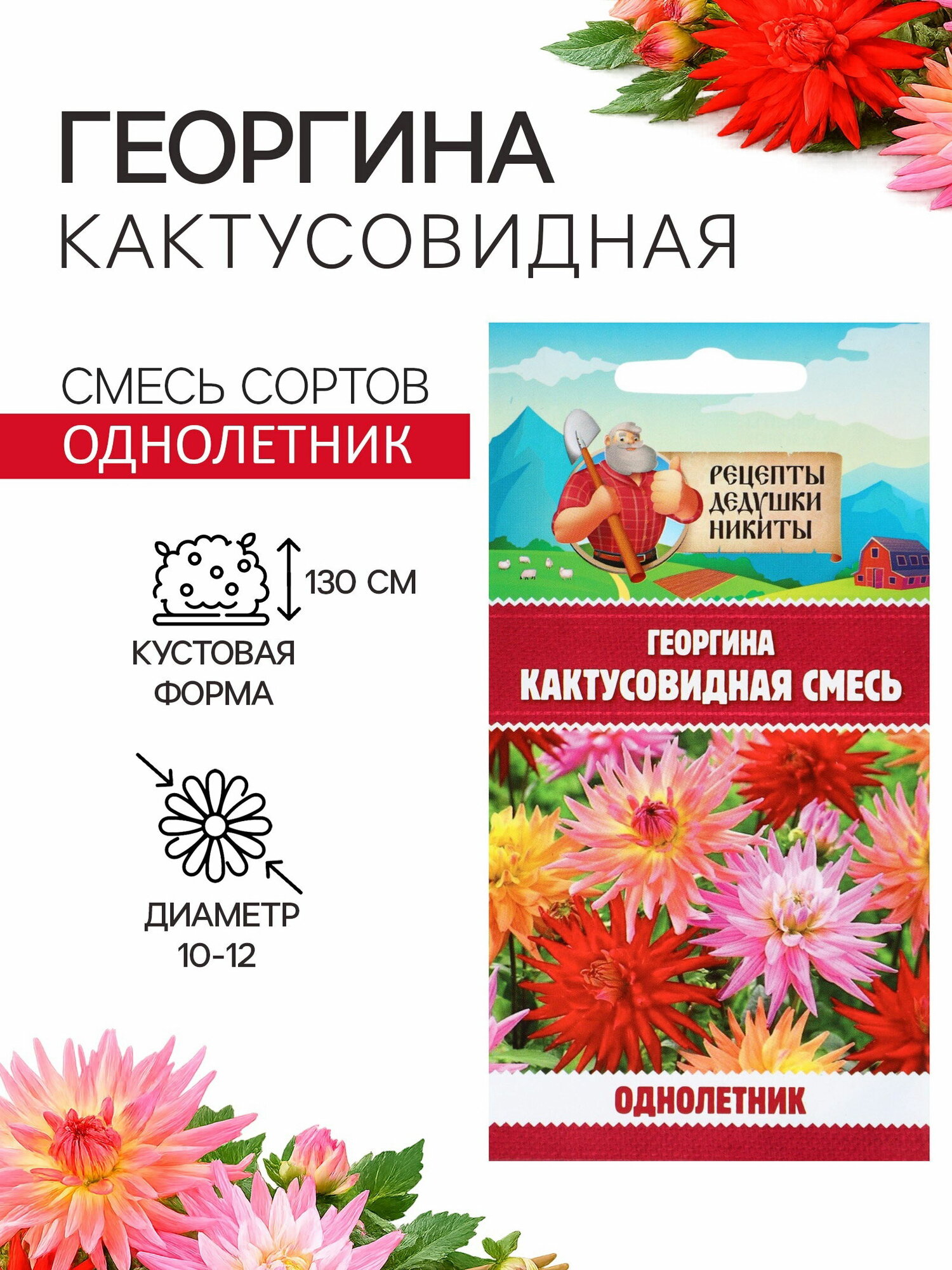 Семена цветов Георгина "Кактусовидная смесь", 0.1 г, цветение период: август