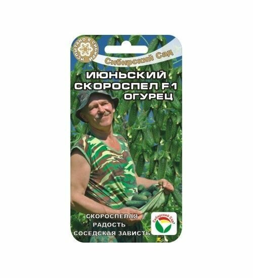 Огурец Июньский скороспел (1 упаковка-7шт семян)