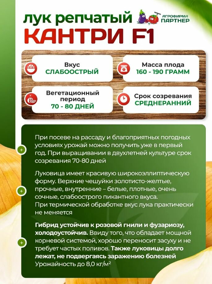 Семена лука Кантри — фото 1