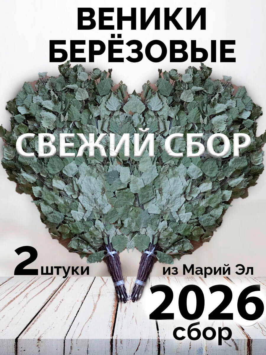 Веник березовый для бани 2 штуки Марий Эл, сбор 2026 года