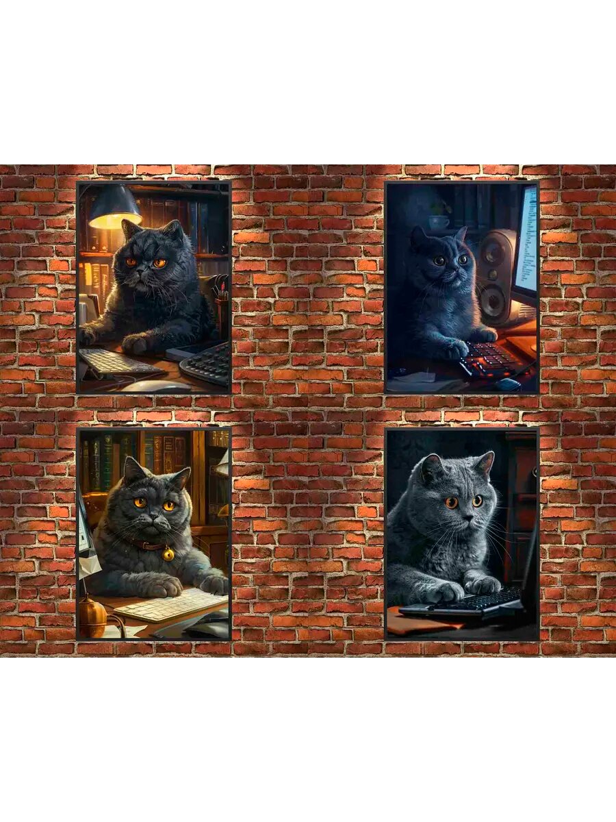 Британская короткошерстная кошка-программист, н2, 4 Плаката