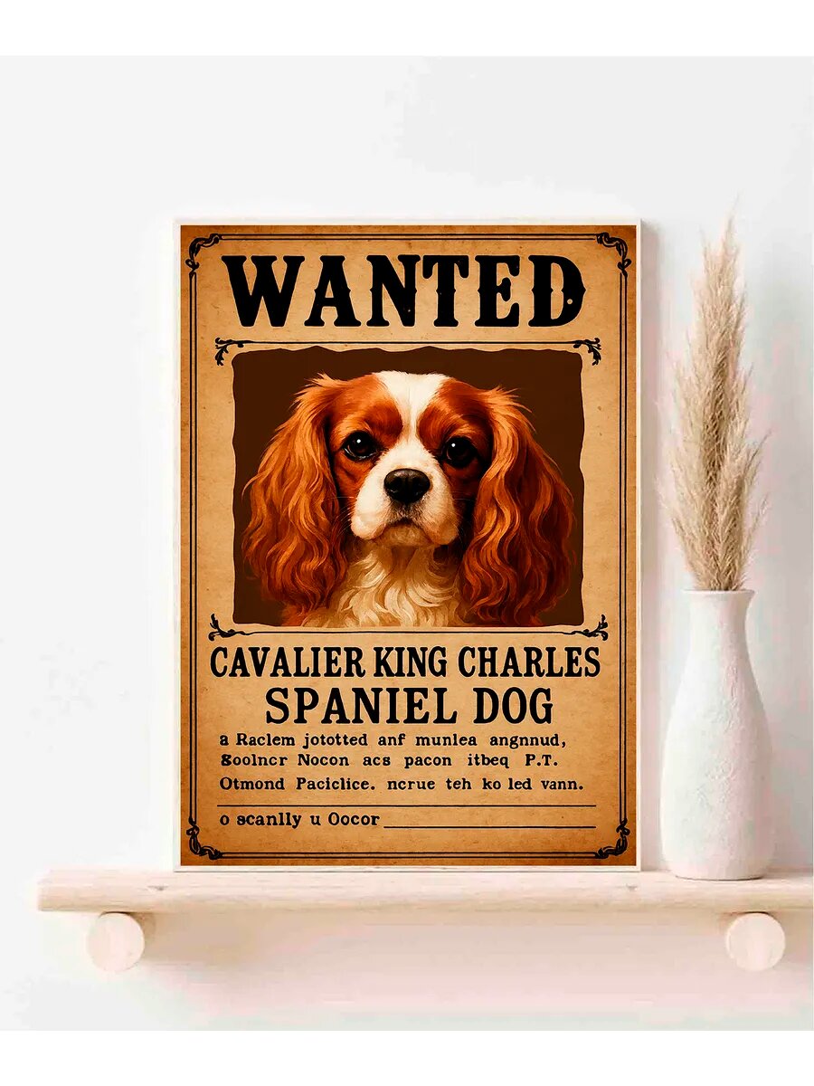 Кавалер Кинг Чарльз спаниель, Wanted, Плакат 30x42см