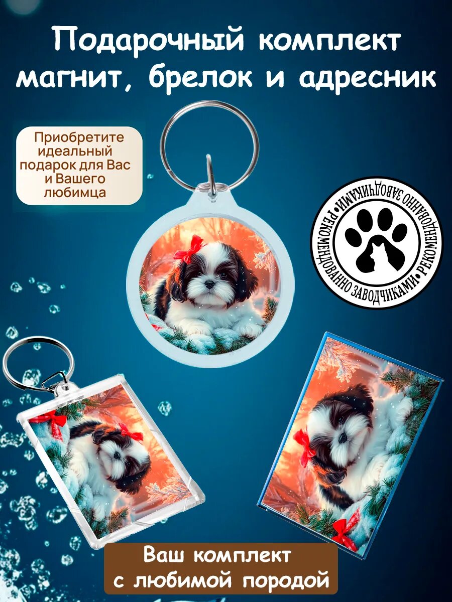 Подарочный комплект магнит брелок адресник