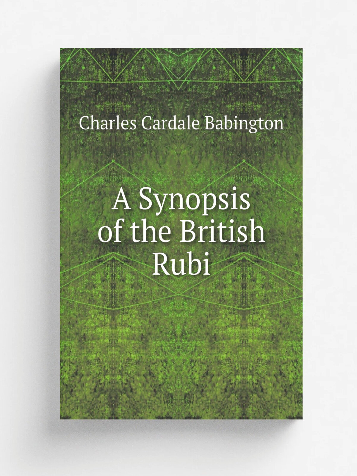 A Synopsis of the British Rubi | Babington Charles Cardale | Репринт