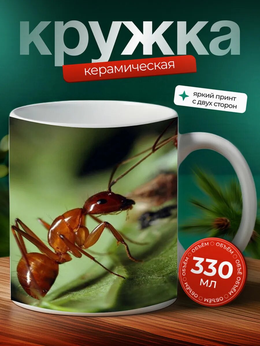 Кружка Муравей насекомое 7,