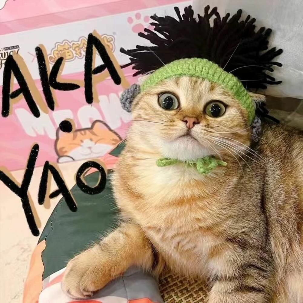 Забавная панк-шляпа, шляпа для кошки
