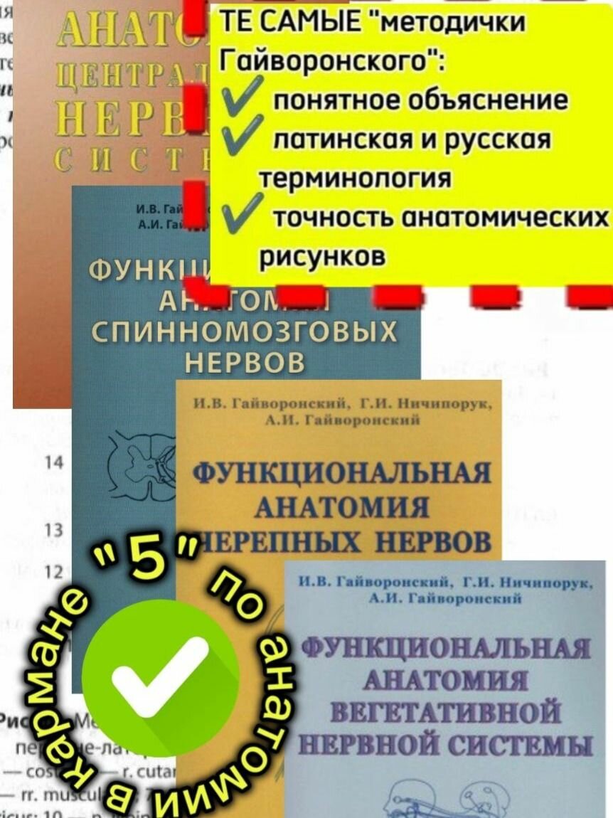 Анатомия человека. Нервная система. Комплект учебных материалов для качественной подготовки к экзамену по анатомии человека - 4 книги. Гайворонский И. В.