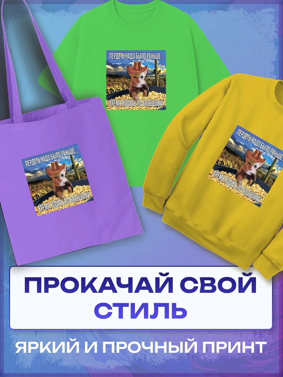 Термонаклейка cat meme — фото 1