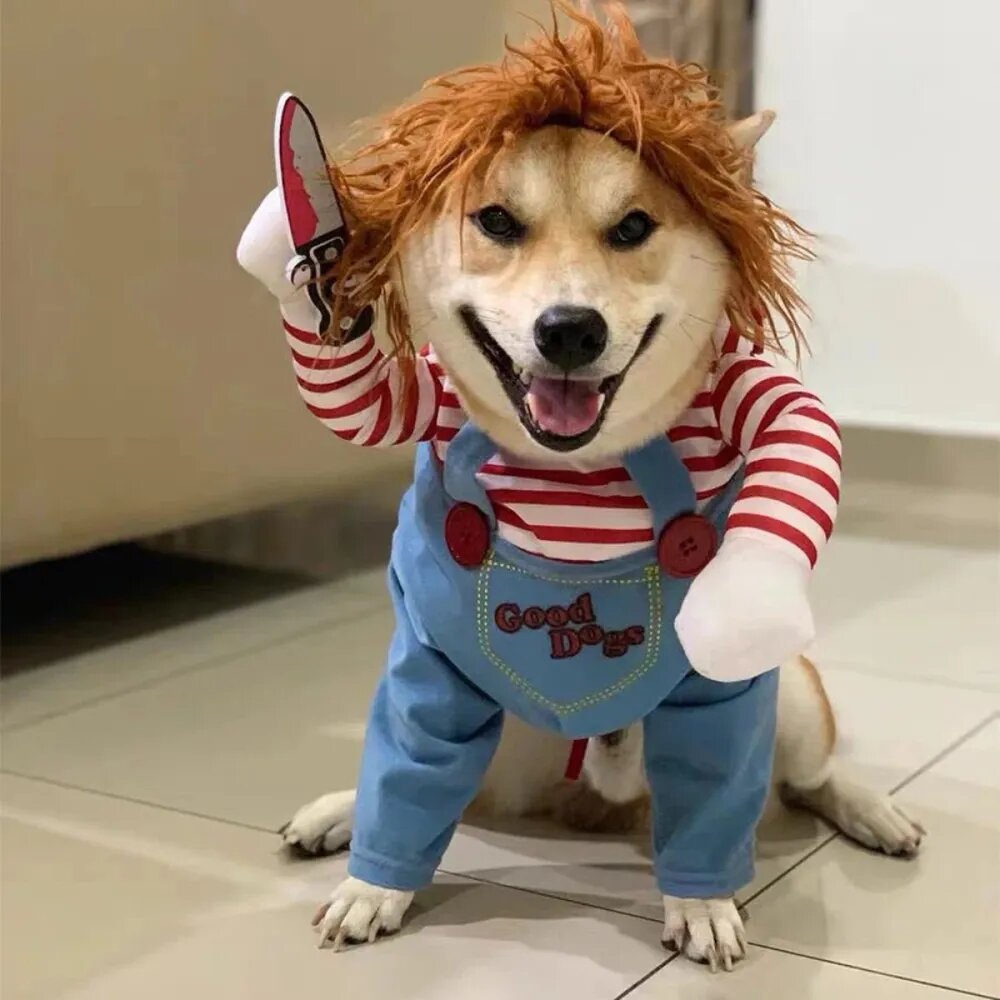 Костюм убийцы для собак и кошек