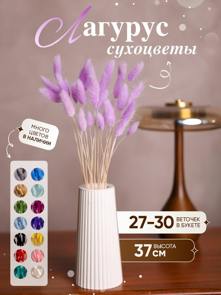 Лагурус сухоцветы для декора