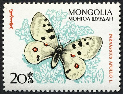 (1963-019) Марка Монголия "Аполлон" Насекомые. Бабочки III