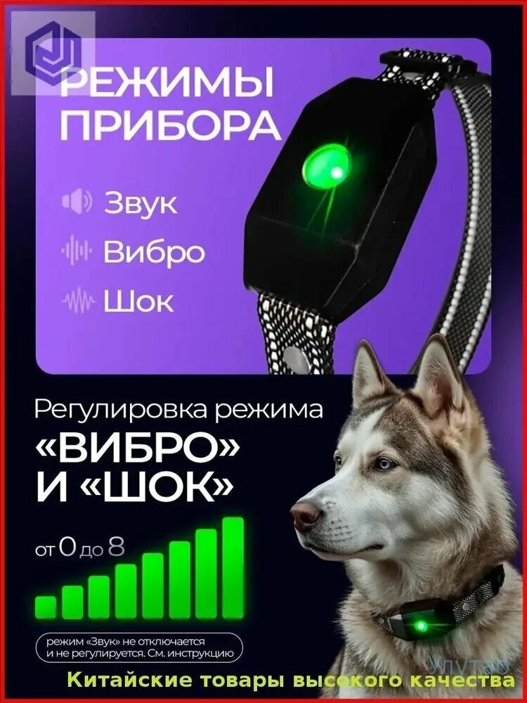 Ошейник