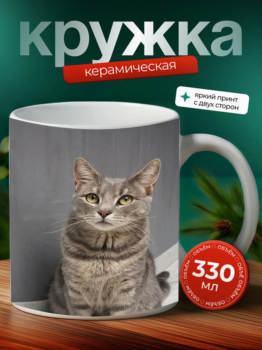 Кружка Одногорбый сококе кот 59,