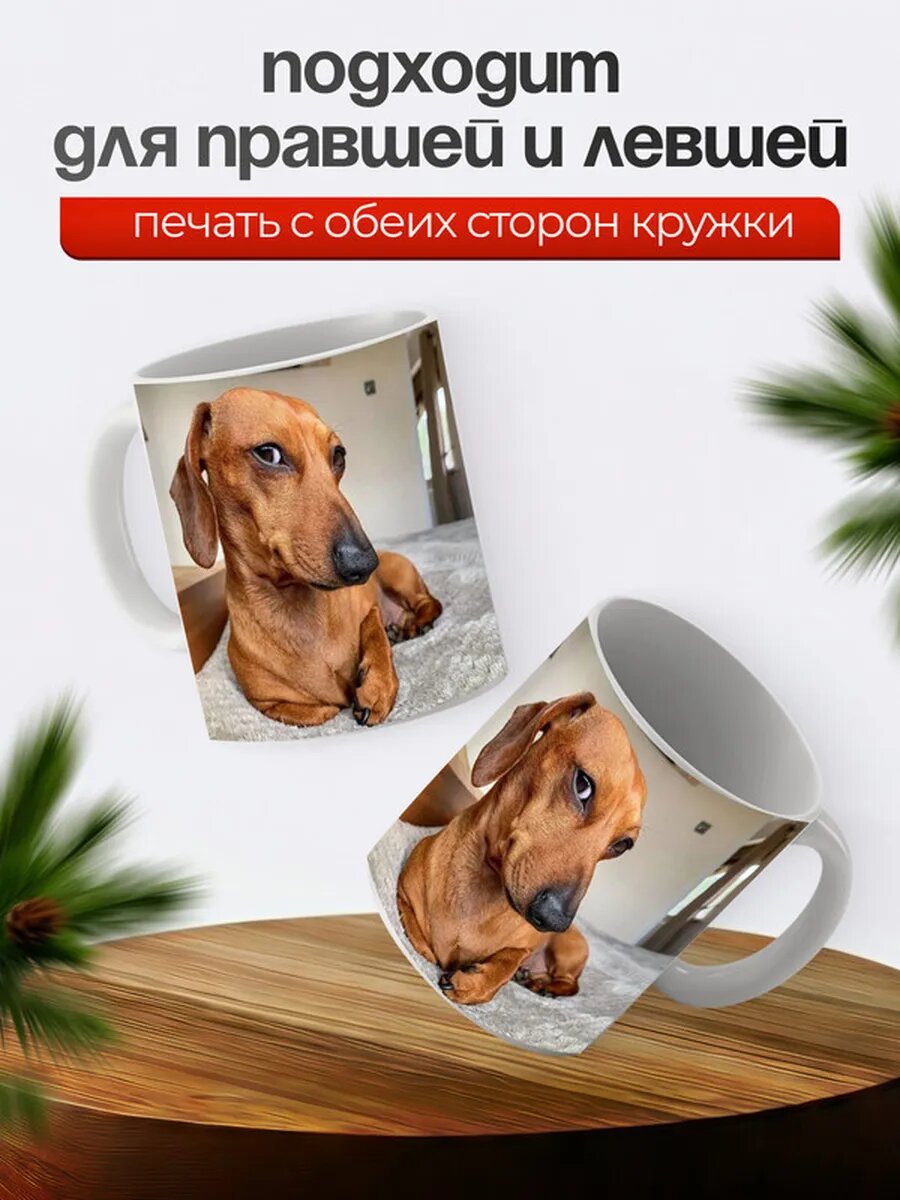 Кружка Такса 7, — фото 1
