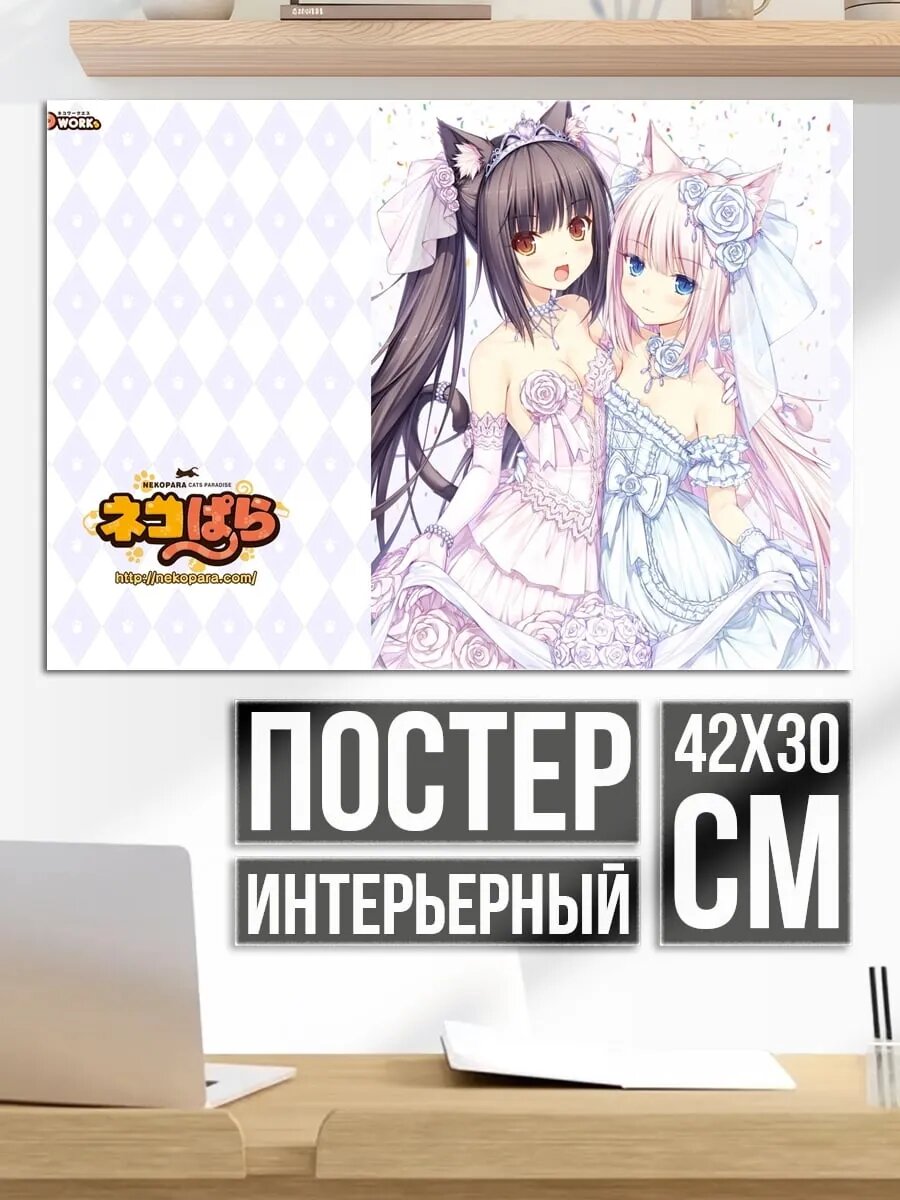 Плакат постер Некопара