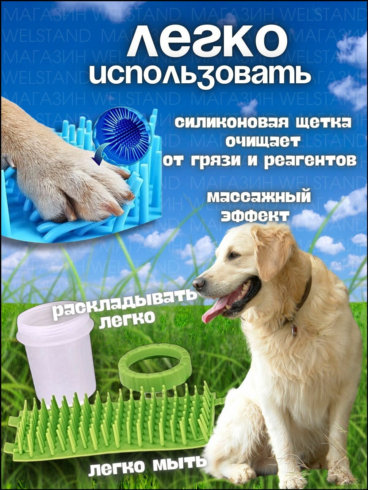 Лапомойка — фото 1