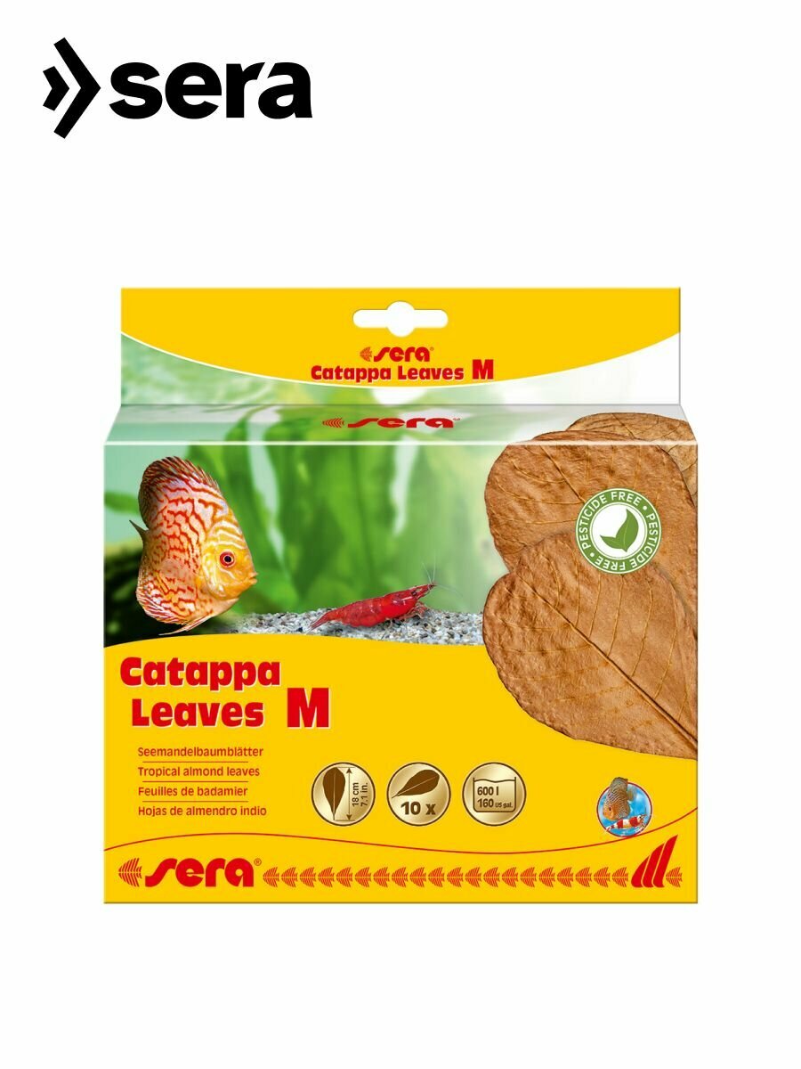 Листья индийского миндаля Sera Catappa Leaves M, 18 см