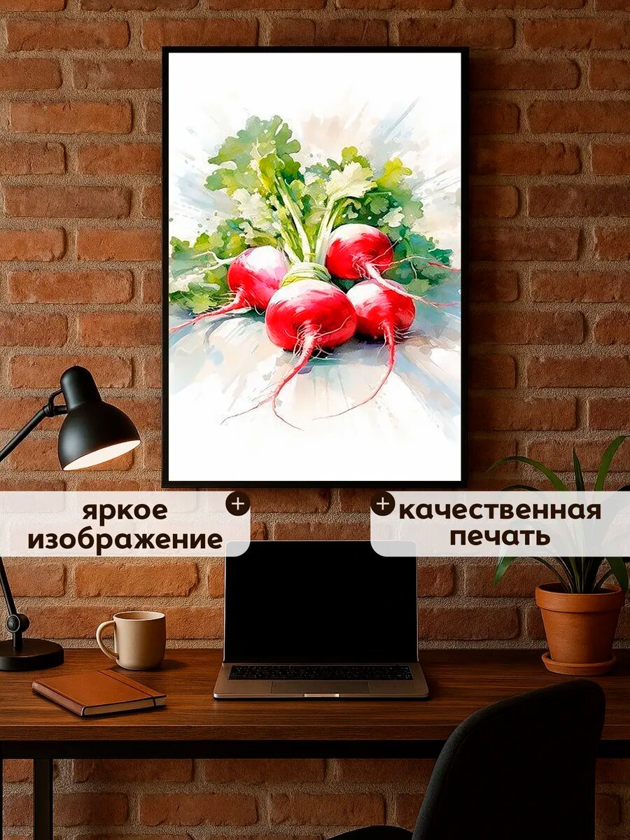 Постер для интерьера 40х60 Редис — фото 1