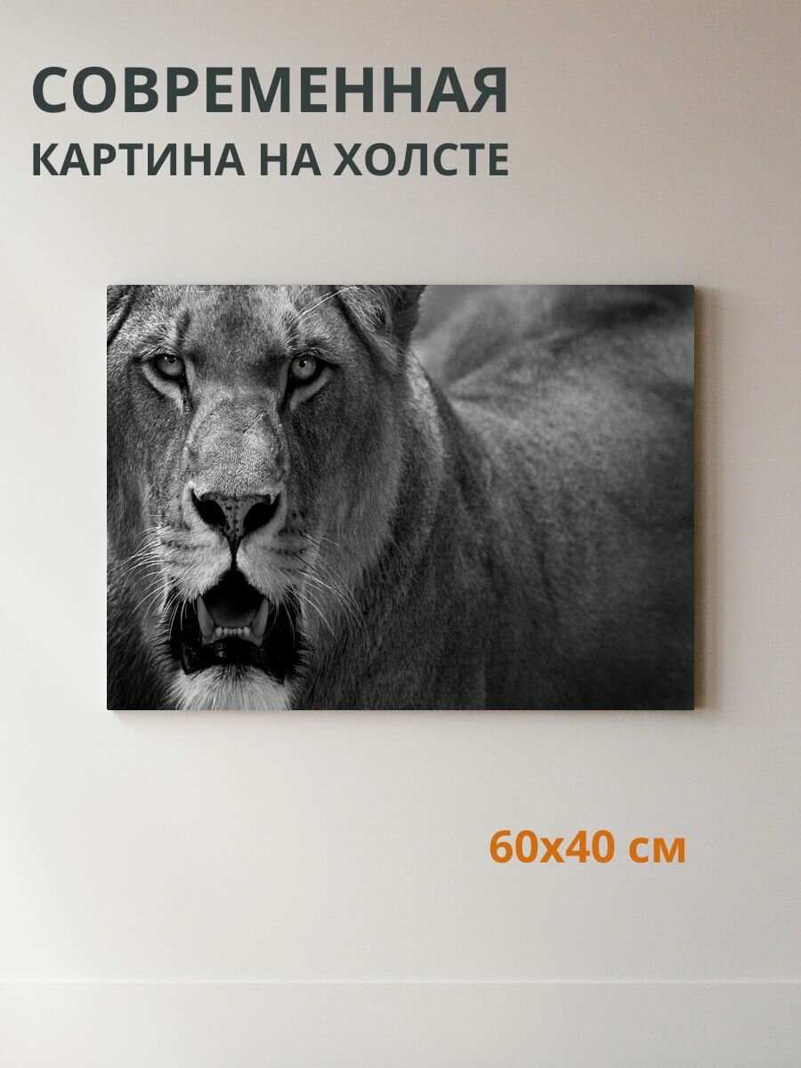 Картина на холсте Лев 60x40 см