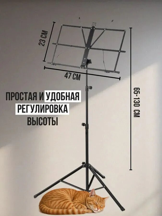Аксессуар для оркестра — фото 1