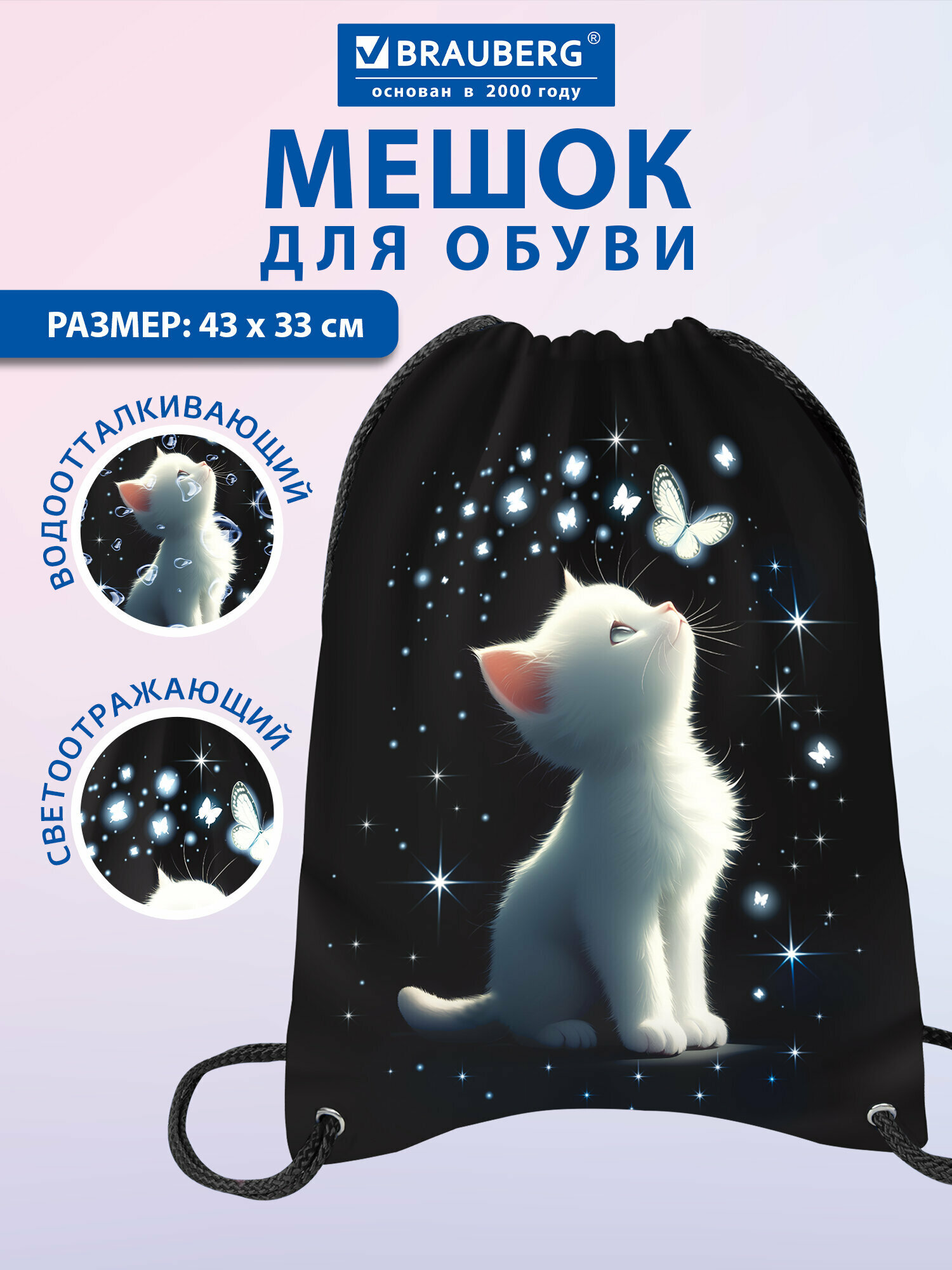 Мешок для обуви, сумка для сменки в школу, чехол детский плотный с карманом и подкладкой, 43х33 см, Brauberg, 274646