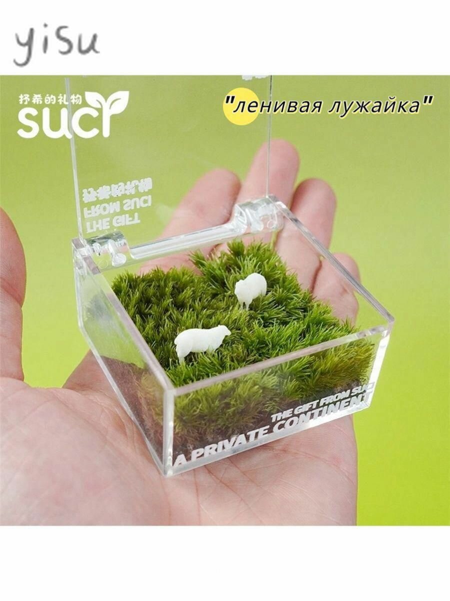 Микроландшафтный рабочий стол "ленивая лужайка", декоративные декорации, Украшение настольное интерьерное