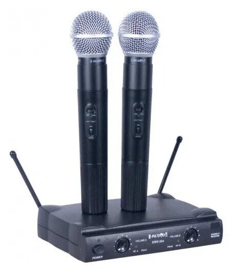 Радиосистема Proaudio DWS-204HT — фото 1