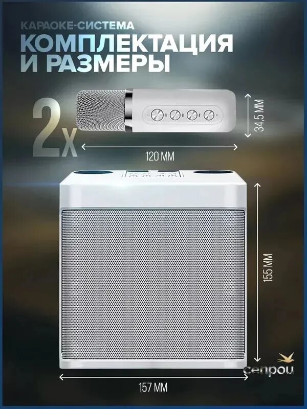 Караоке-система — фото 1