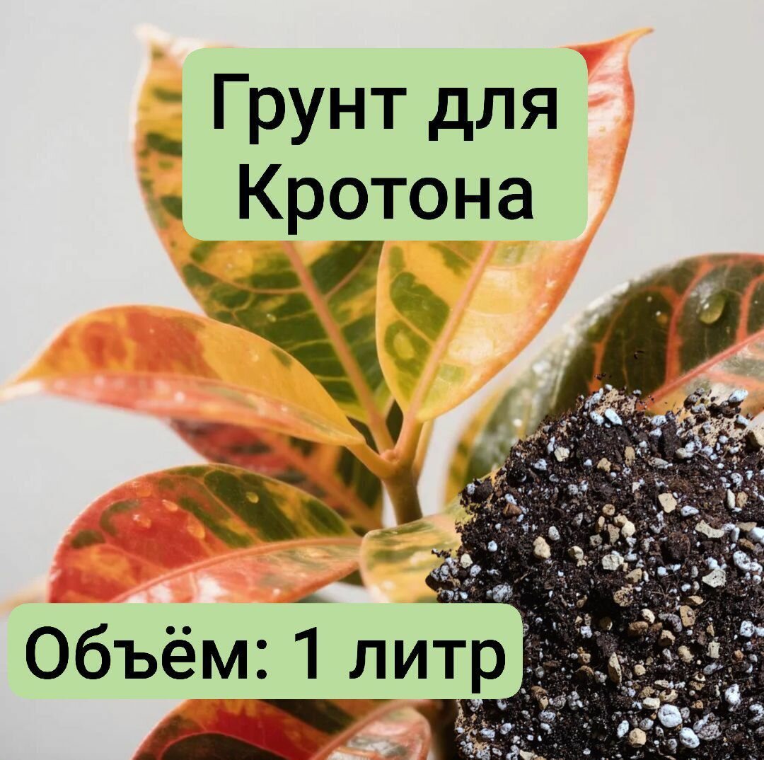 Грунт для Кротона 1 л