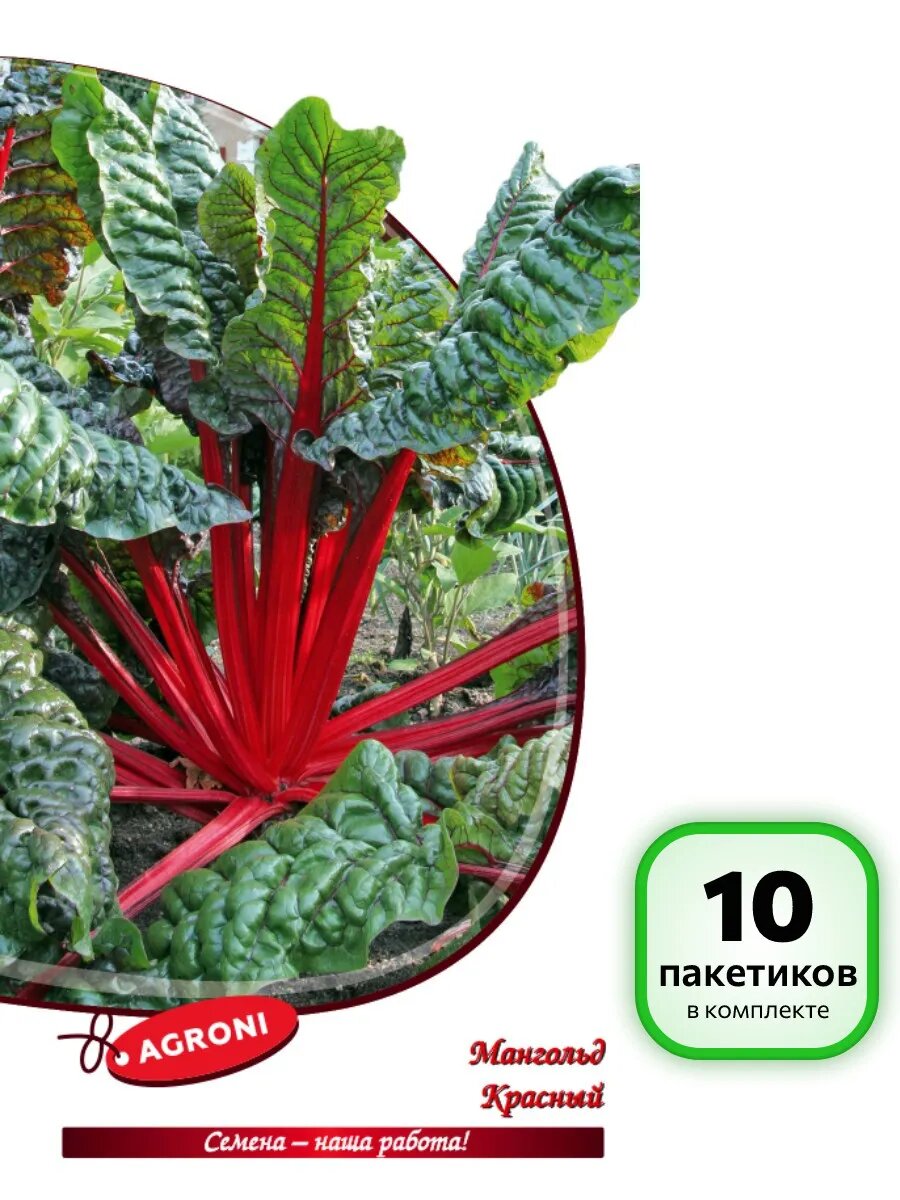 (10 шт.) - Семена Мангольд красный (1,0г)