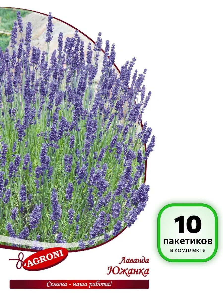 (10 шт.) - Семена Лаванда Южанка (0,05г)