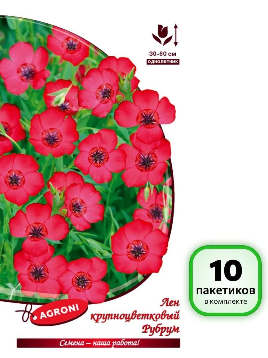 (10 шт.) - Семена Лен крупноцветковый Рубрум (0,1г)