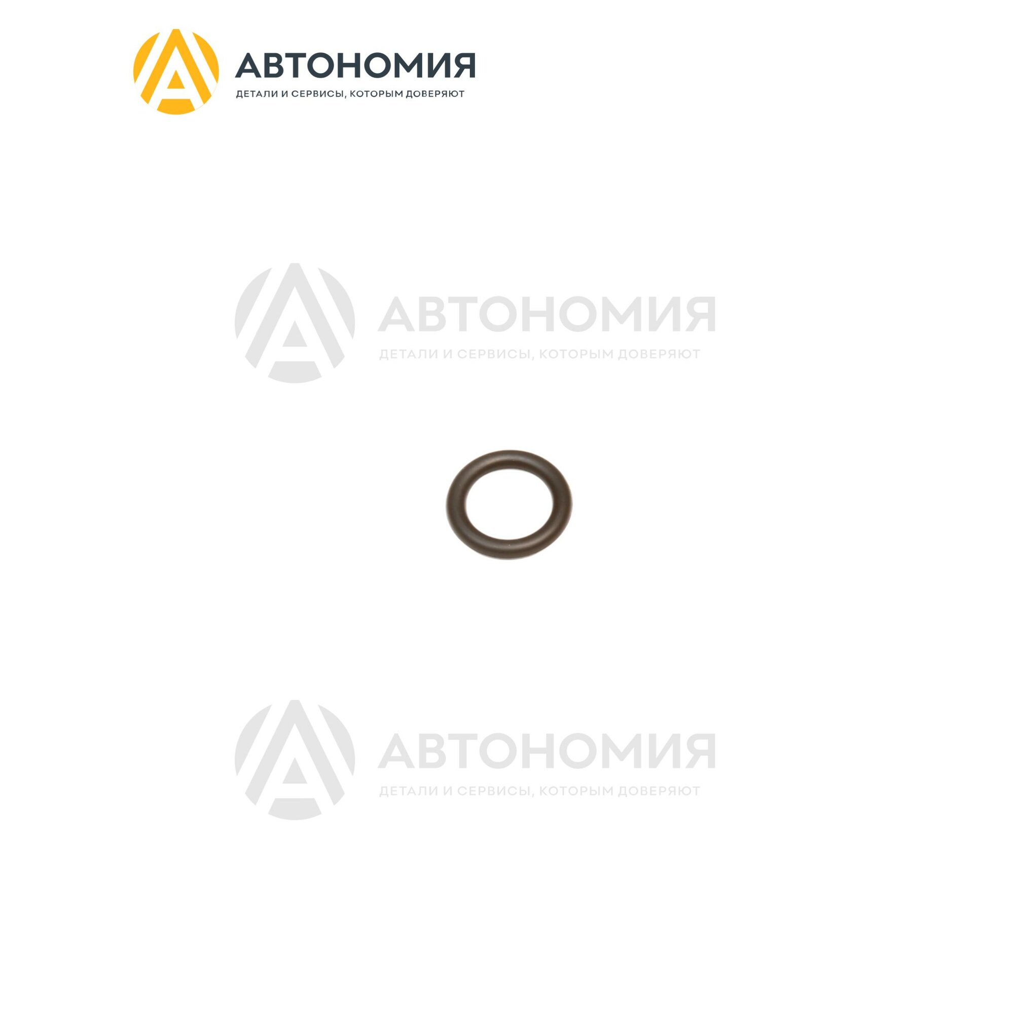 Кольцо уплотнительное Suzuki 15710-09300