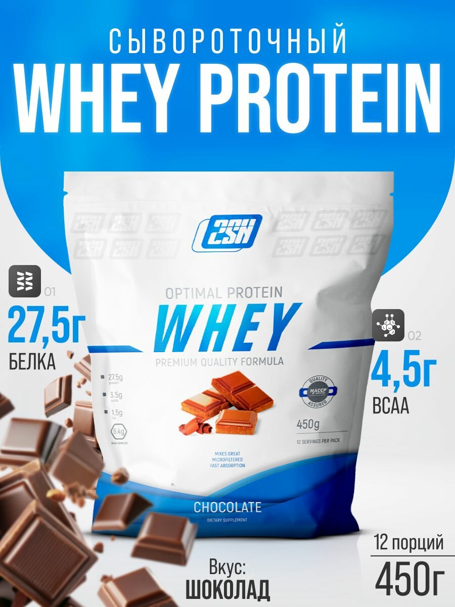 2SN Протеин сывороточный Whey Protein 12 порций 450 г (Шоколад)