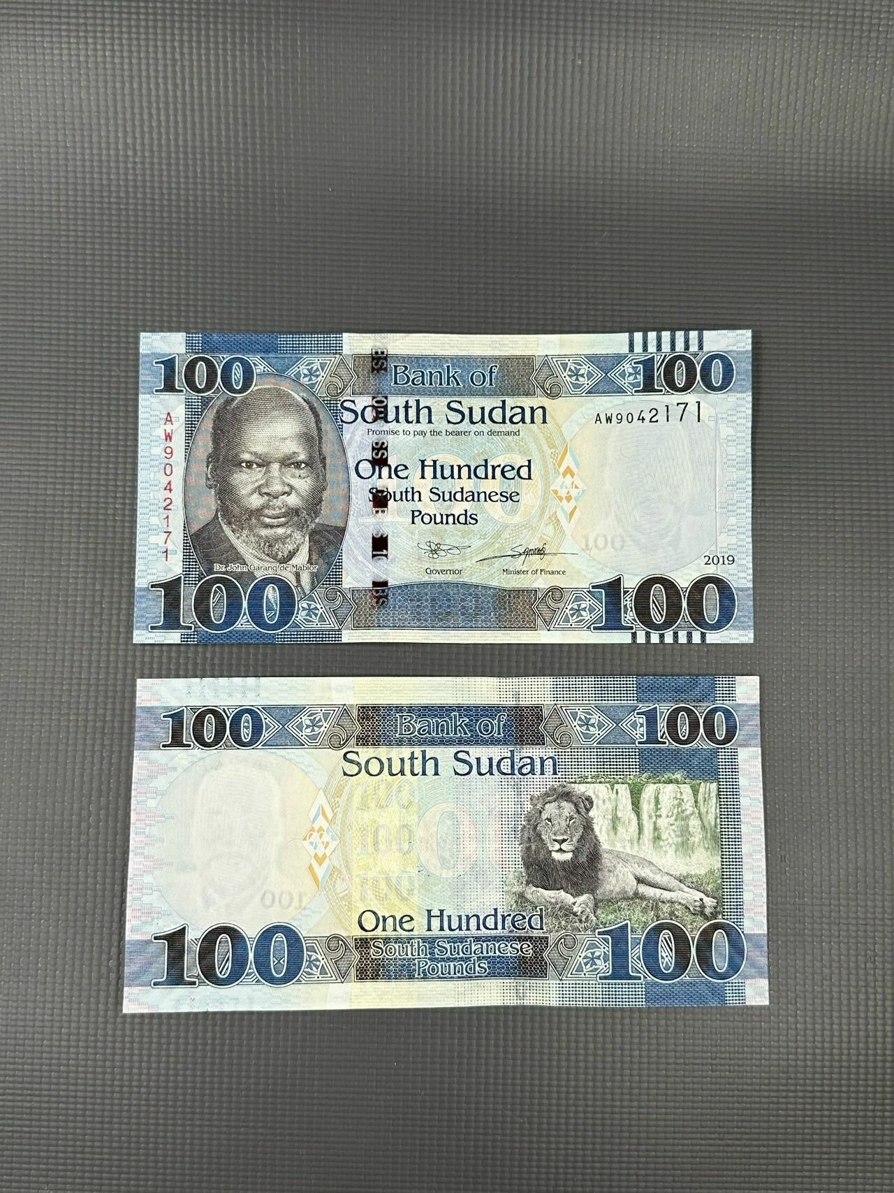 Банкнота Южный Судан 100 фунтов 2019 год UNC